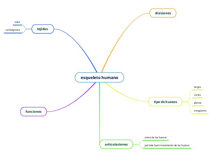 esqueleto humano - Mind Map